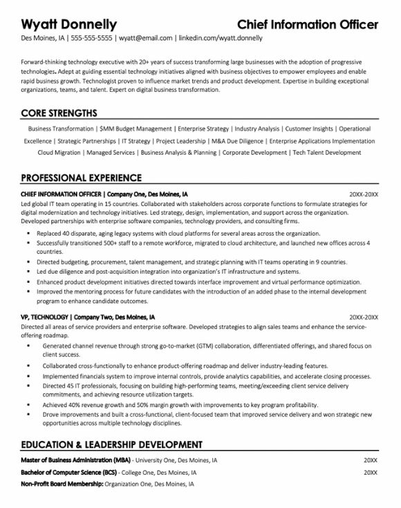 CIO Resume Sample | Monster.com